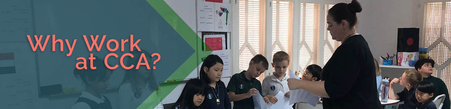 Why CCA-team | CCA